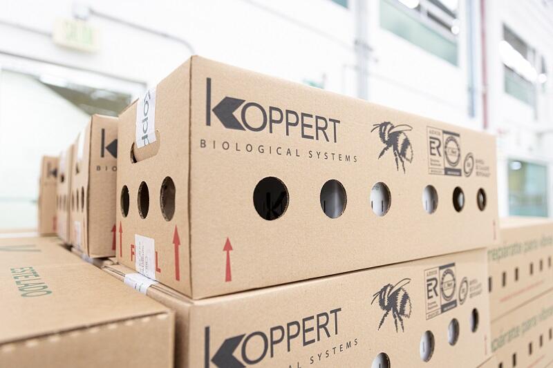 Koppert México y Países Bajos unen fuerzas para revolucionar el control ...