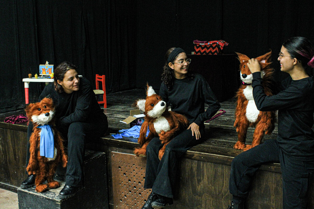 La Casa del Faldón presenta “La Inesperada Visita del Zorro Azul” - Al ...