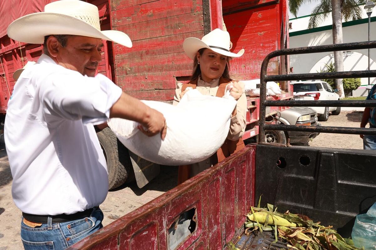 SEDEA entrega más de 35 toneladas de semilla para impulsar a ...